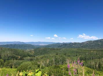 Summit Lake Camping | The Dyrt