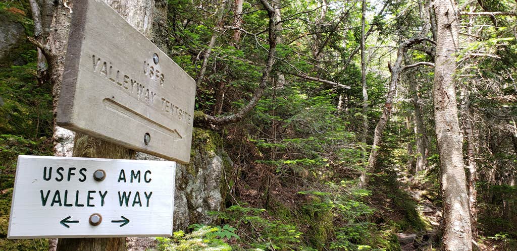 Valley Way Tentsite Camping | Randolph, NH