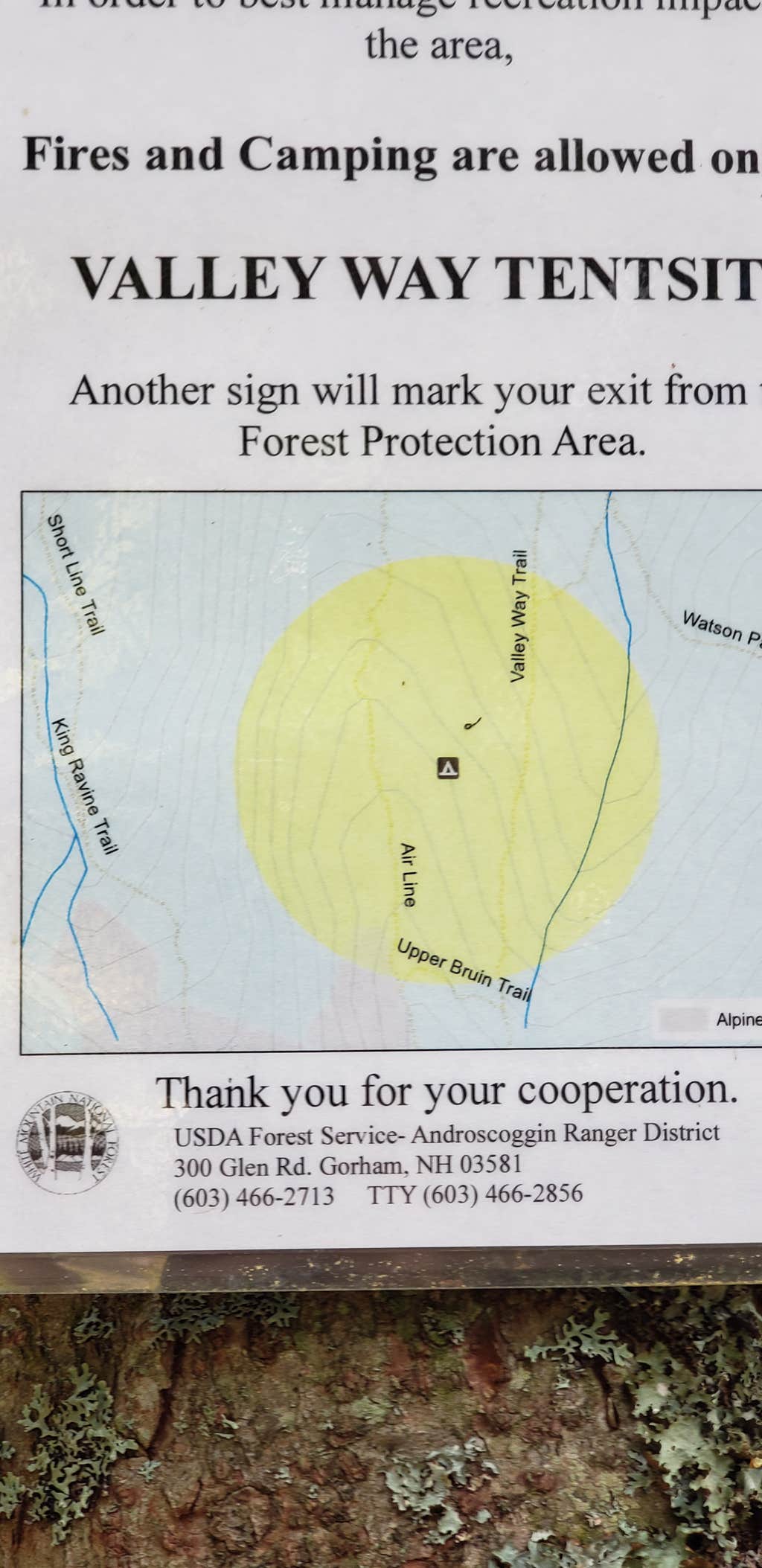 Valley Way Tentsite Camping | Randolph, NH