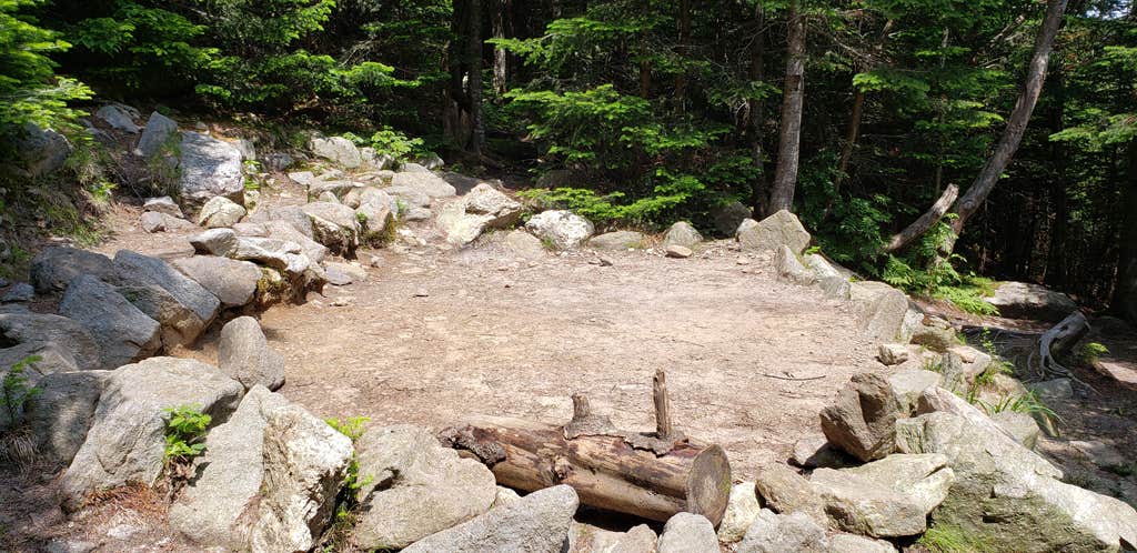 Valley Way Tentsite Camping | Randolph, NH