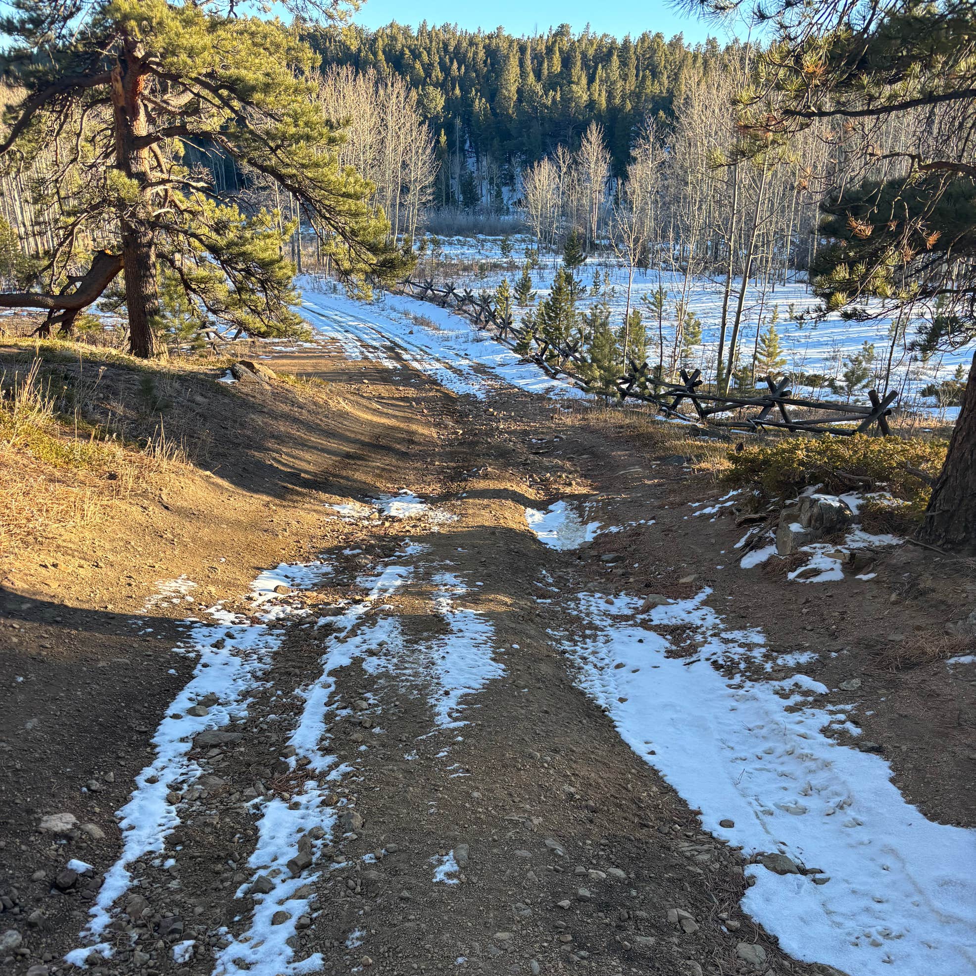 Gordon Gulch Dispersed Area Camping | Nederland, Colorado