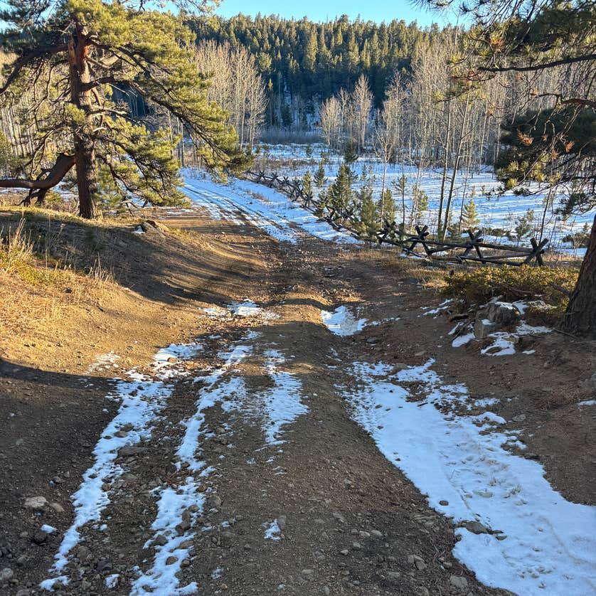 Gordon Gulch Dispersed Area Camping | Nederland, Colorado