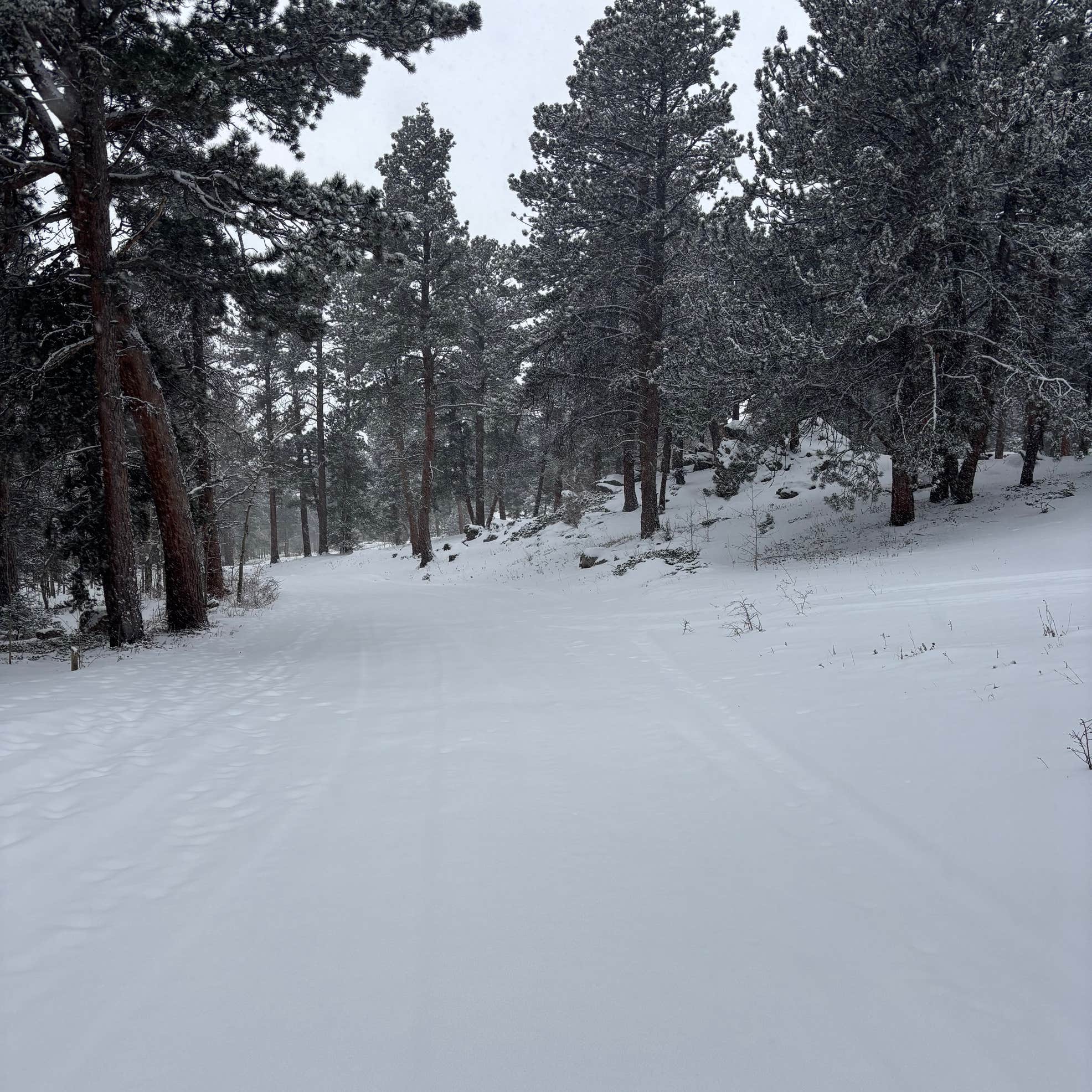 Gordon Gulch Dispersed Area Camping | Nederland, Colorado