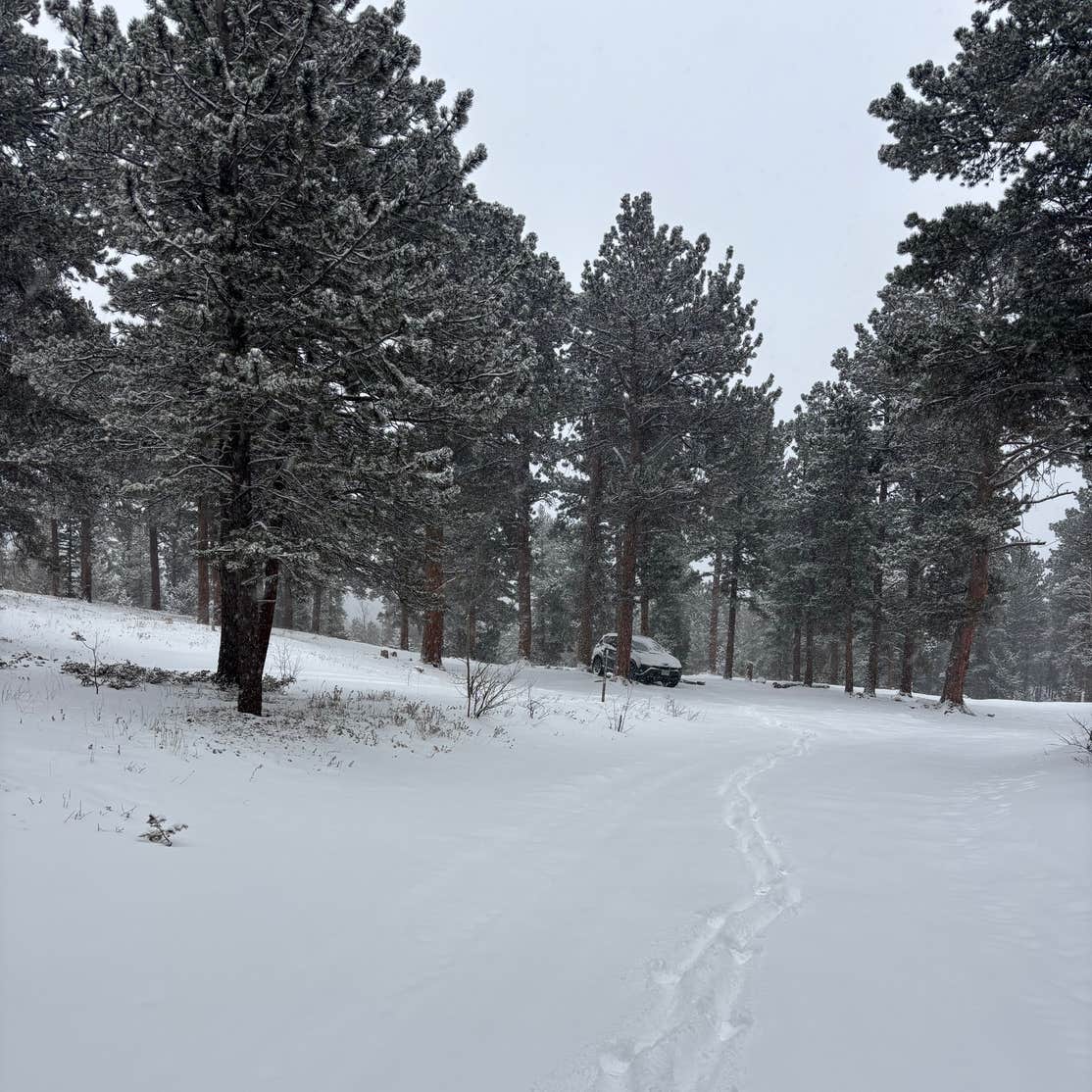 Gordon Gulch Dispersed Area Camping | Nederland, Colorado