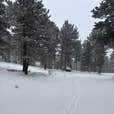 Gordon Gulch Dispersed Area Camping | Nederland, Colorado