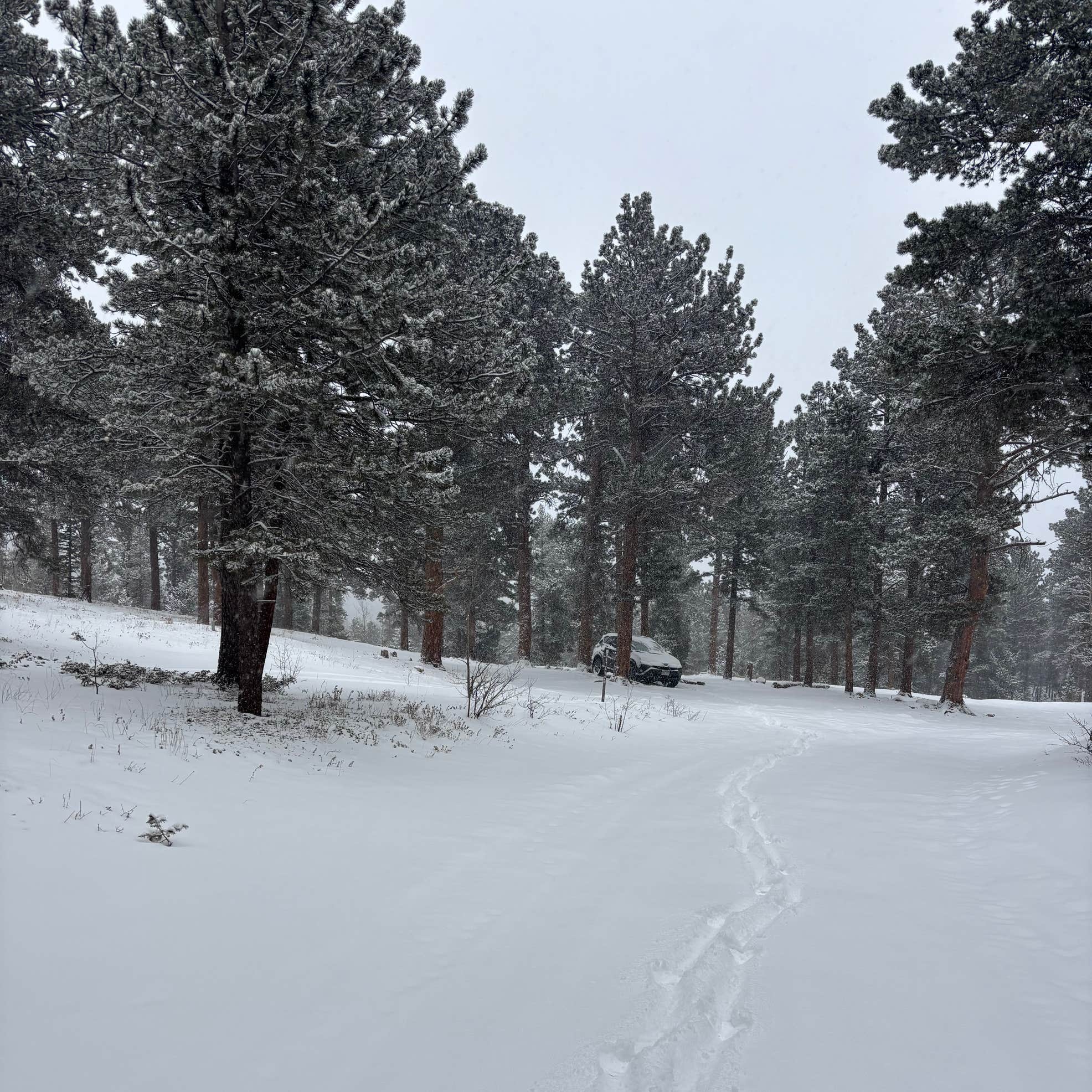 Gordon Gulch Dispersed Area Camping | Nederland, Colorado