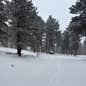 Gordon Gulch Dispersed Area Camping | Nederland, Colorado