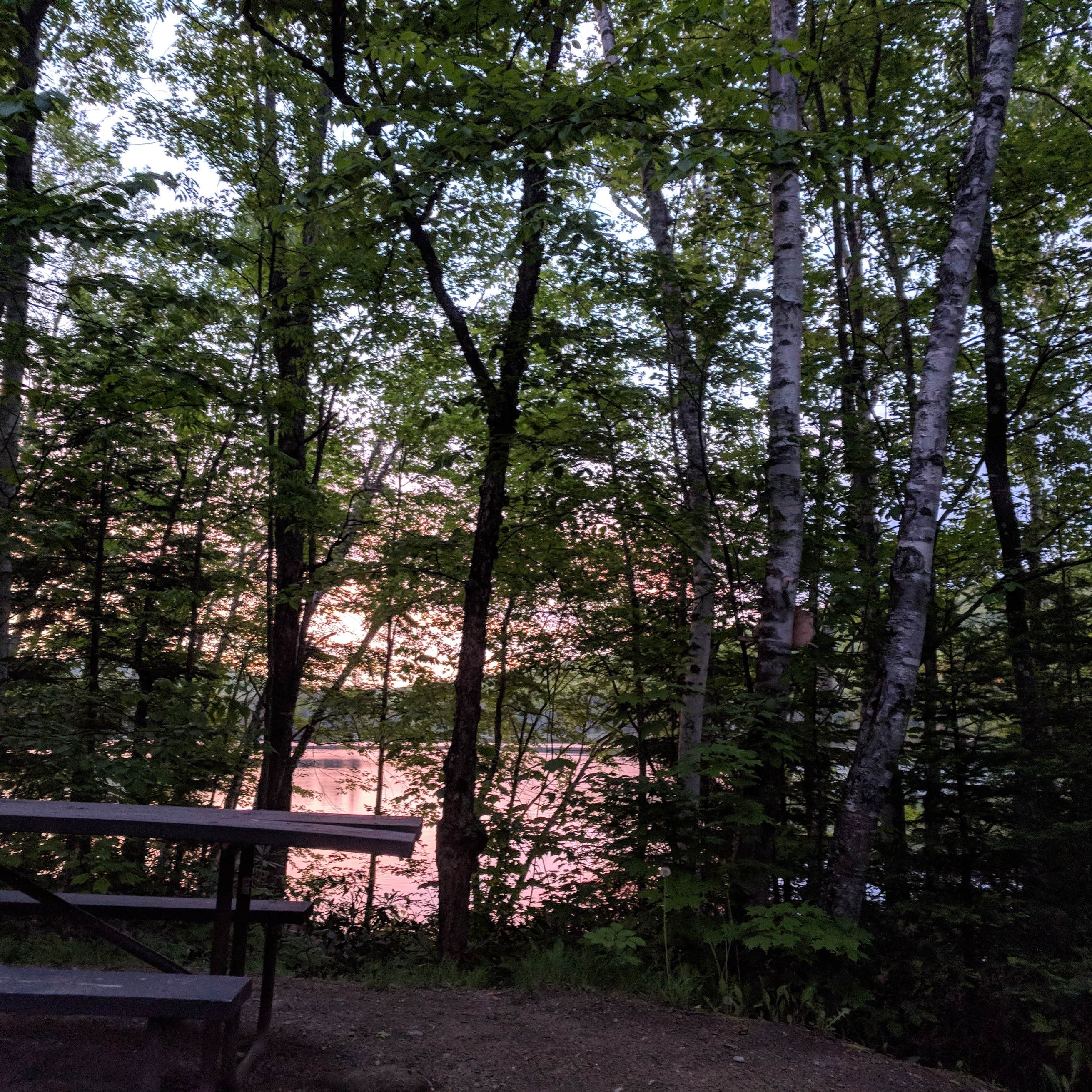 Ricker Pond State Park Camping | The Dyrt