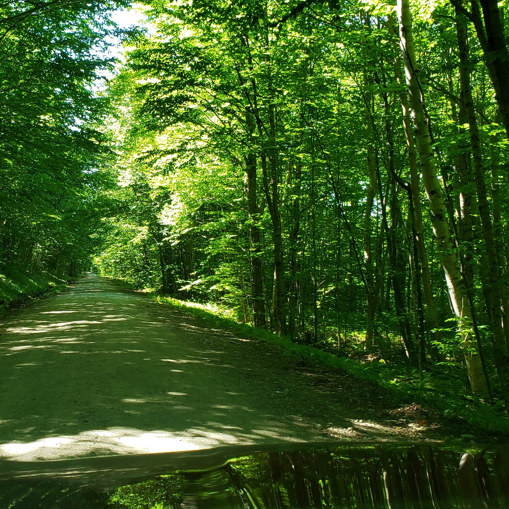 Haystack Road Camping | The Dyrt