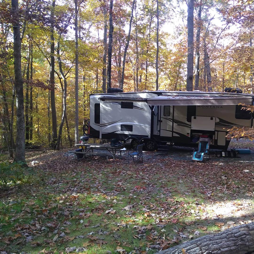 Little Bennett Campground Camping | The Dyrt