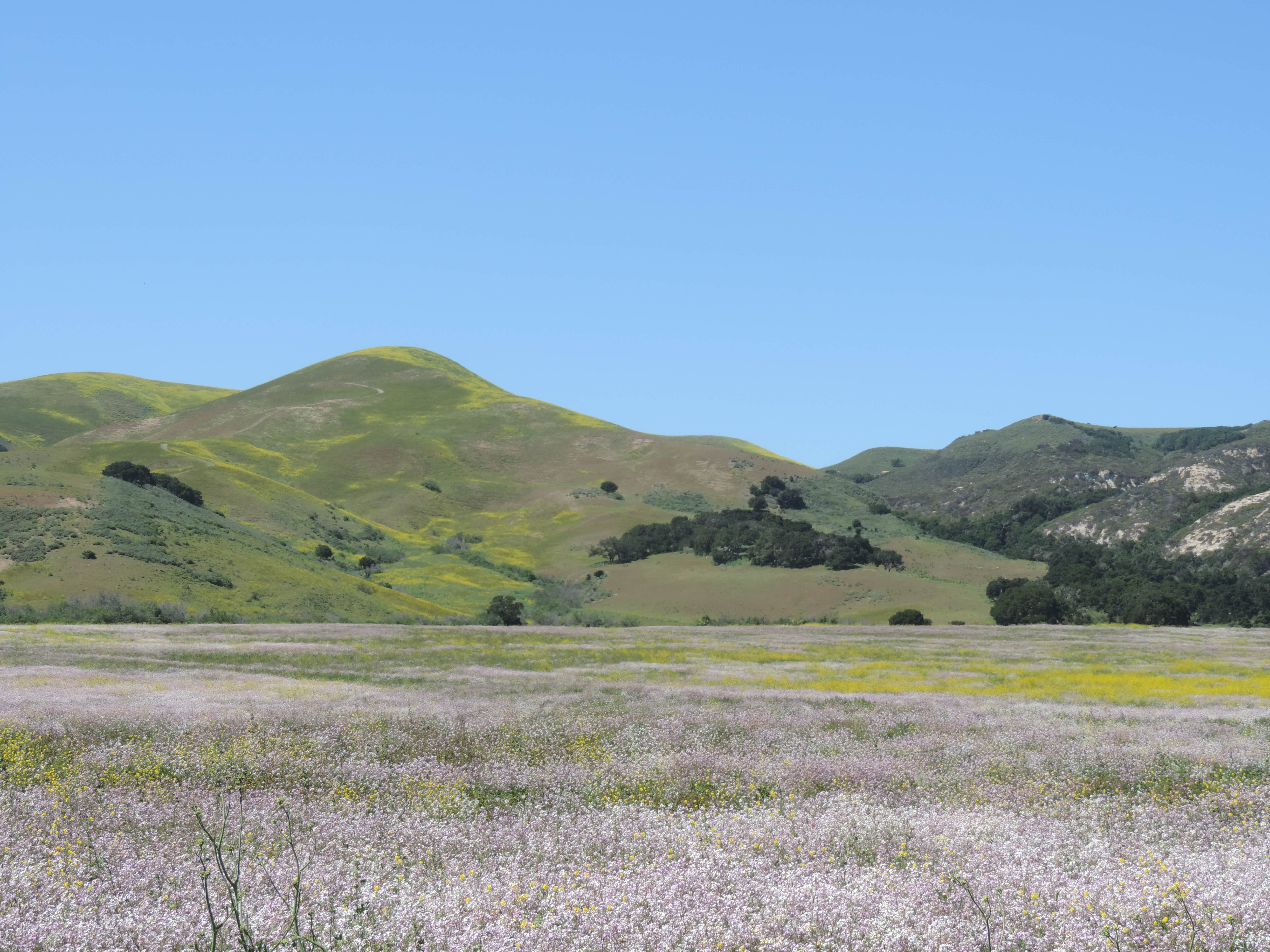 Jalama Beach County Park Camping | Santa Ynez, California