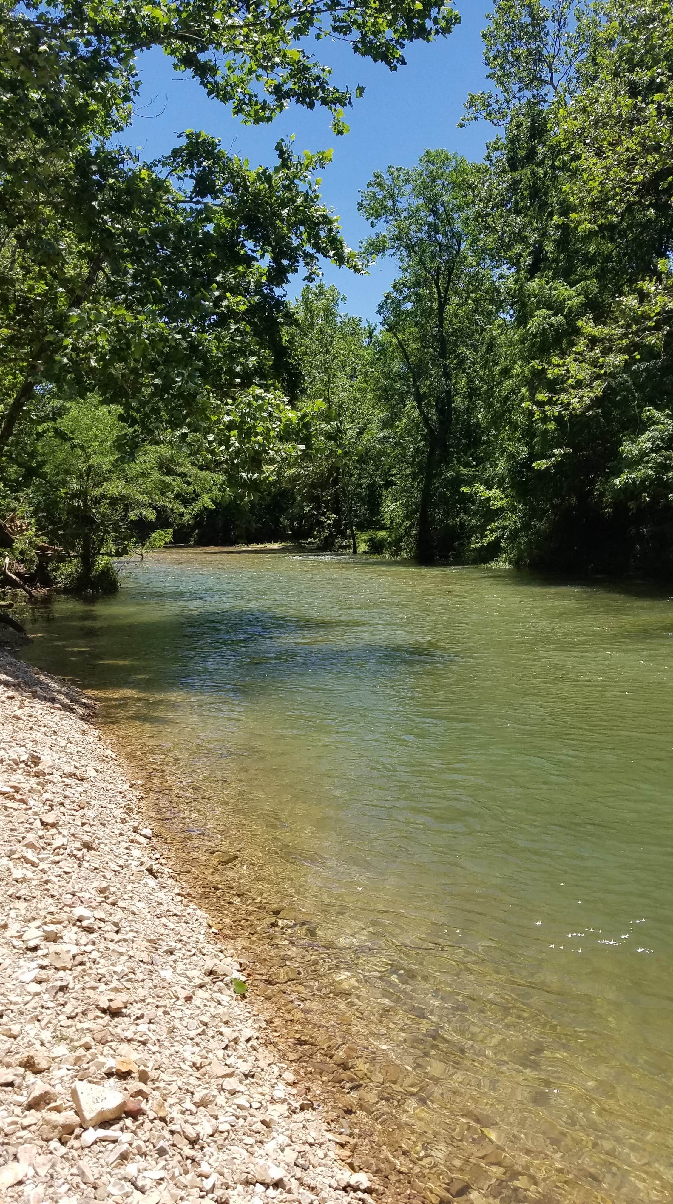 James River Campground & Outdoor Center | Crane, MO