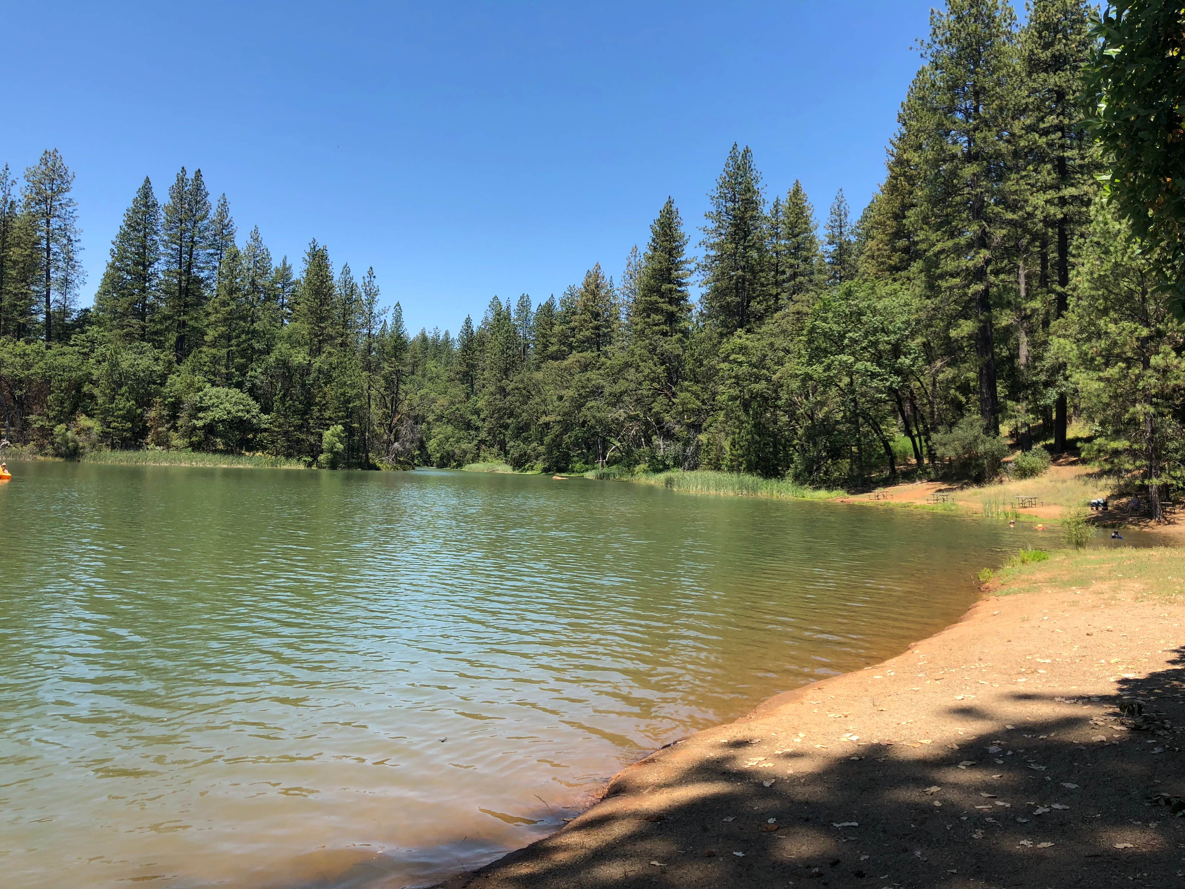 Lake Francis Resort Camping | Oregon House, California