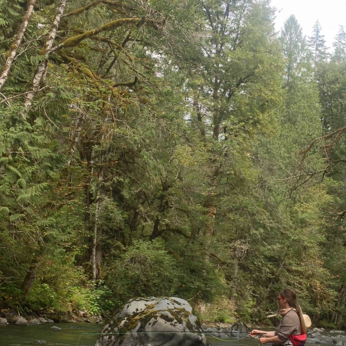 Upper Duckabush — Olympic National Park Camping | Olympic National ...
