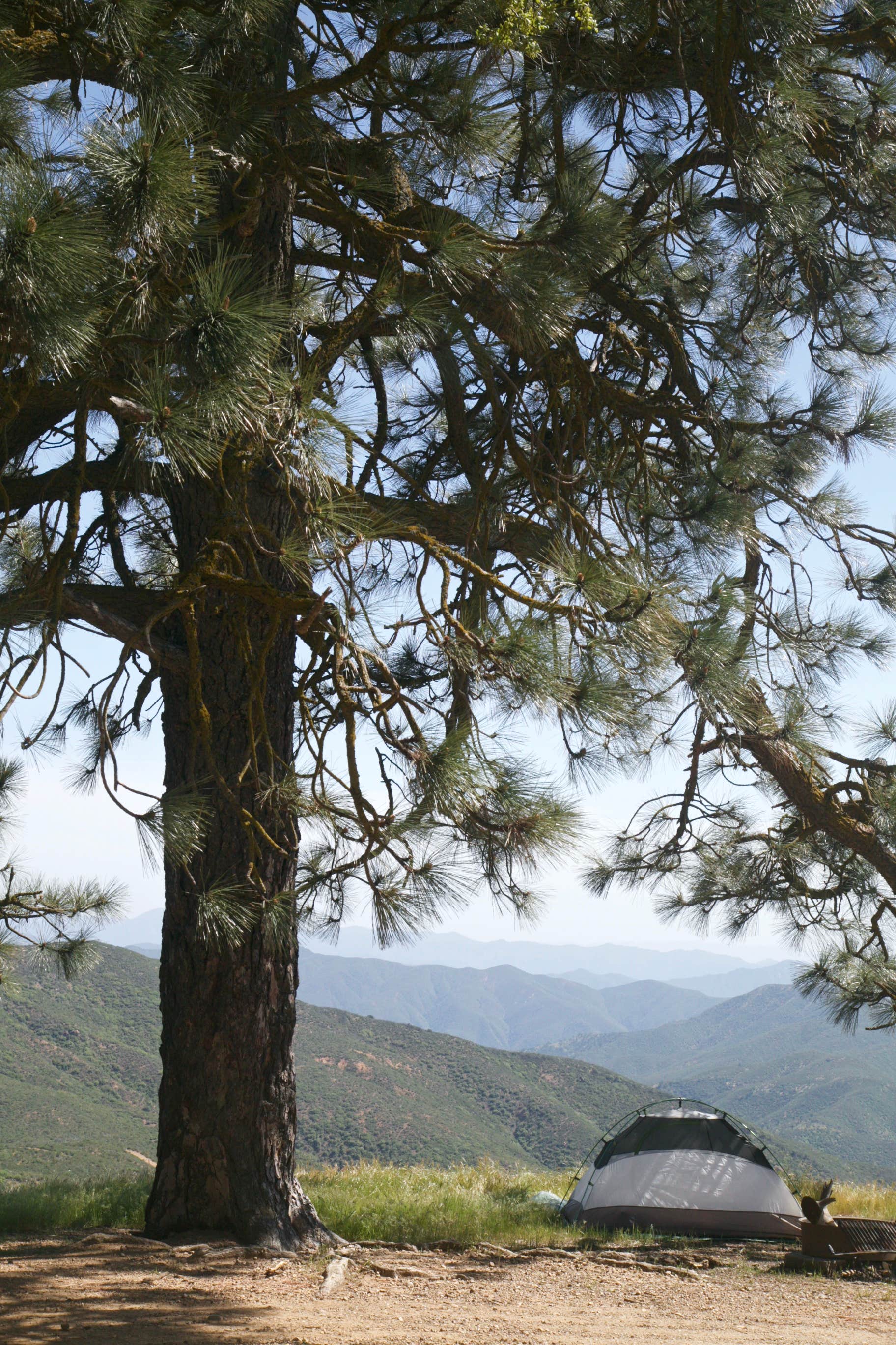 Miranda Pine Campground | Santa Barbara, CA