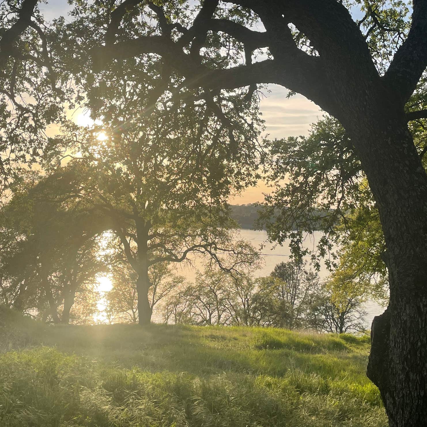 Peninsula Campground — Folsom Lake State Recreation Area | Granite Bay ...