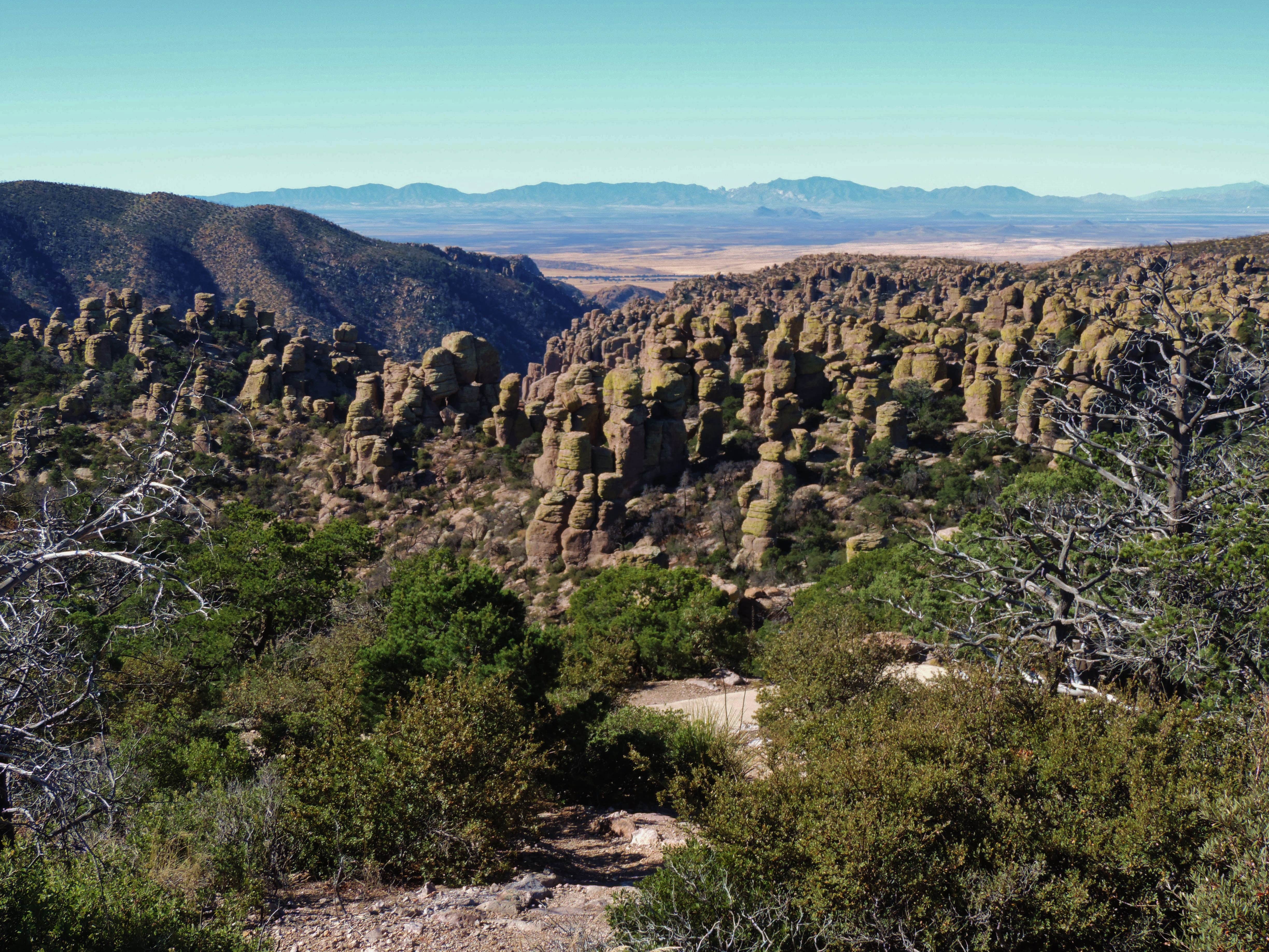 Best Campgrounds near Portal, AZ