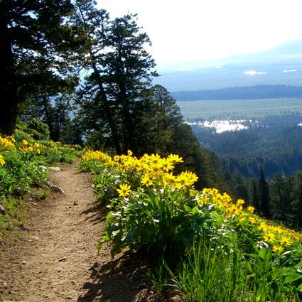 Sunlight Rangers Cabin | Cody, WY