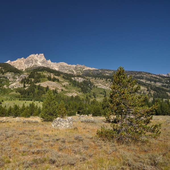 Sunlight Rangers Cabin | Wapiti, Wyoming