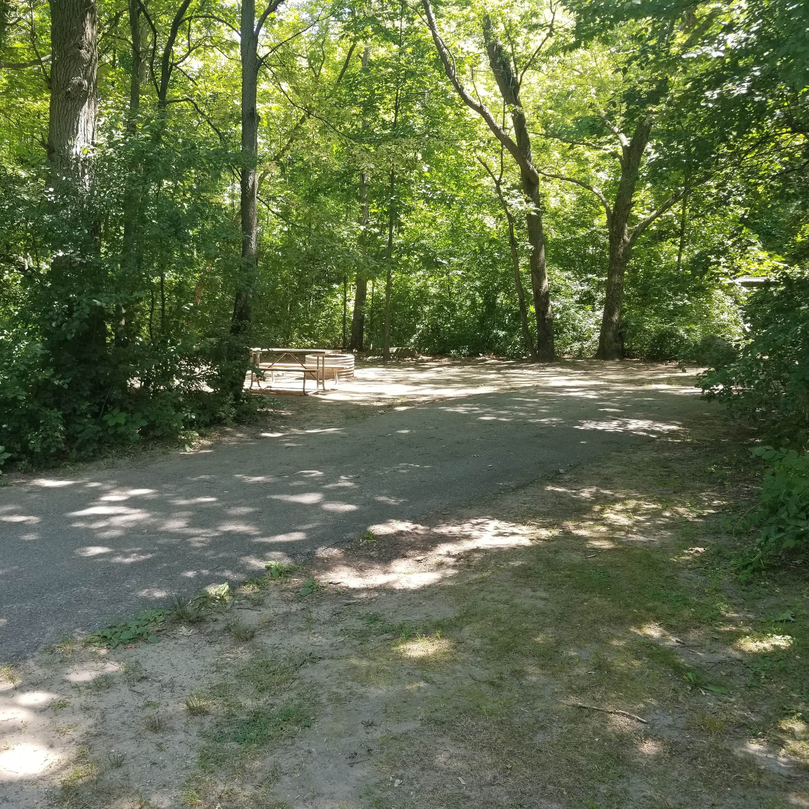 Pontiac Lake State Recreation Area Camping | The Dyrt
