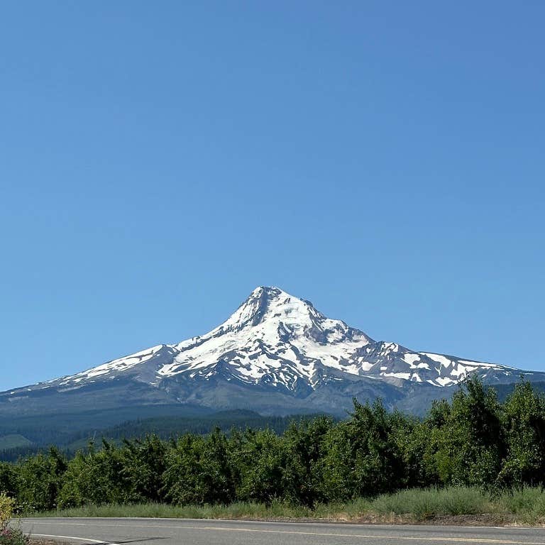 Toll Bridge Park Campground | Hood River, Oregon