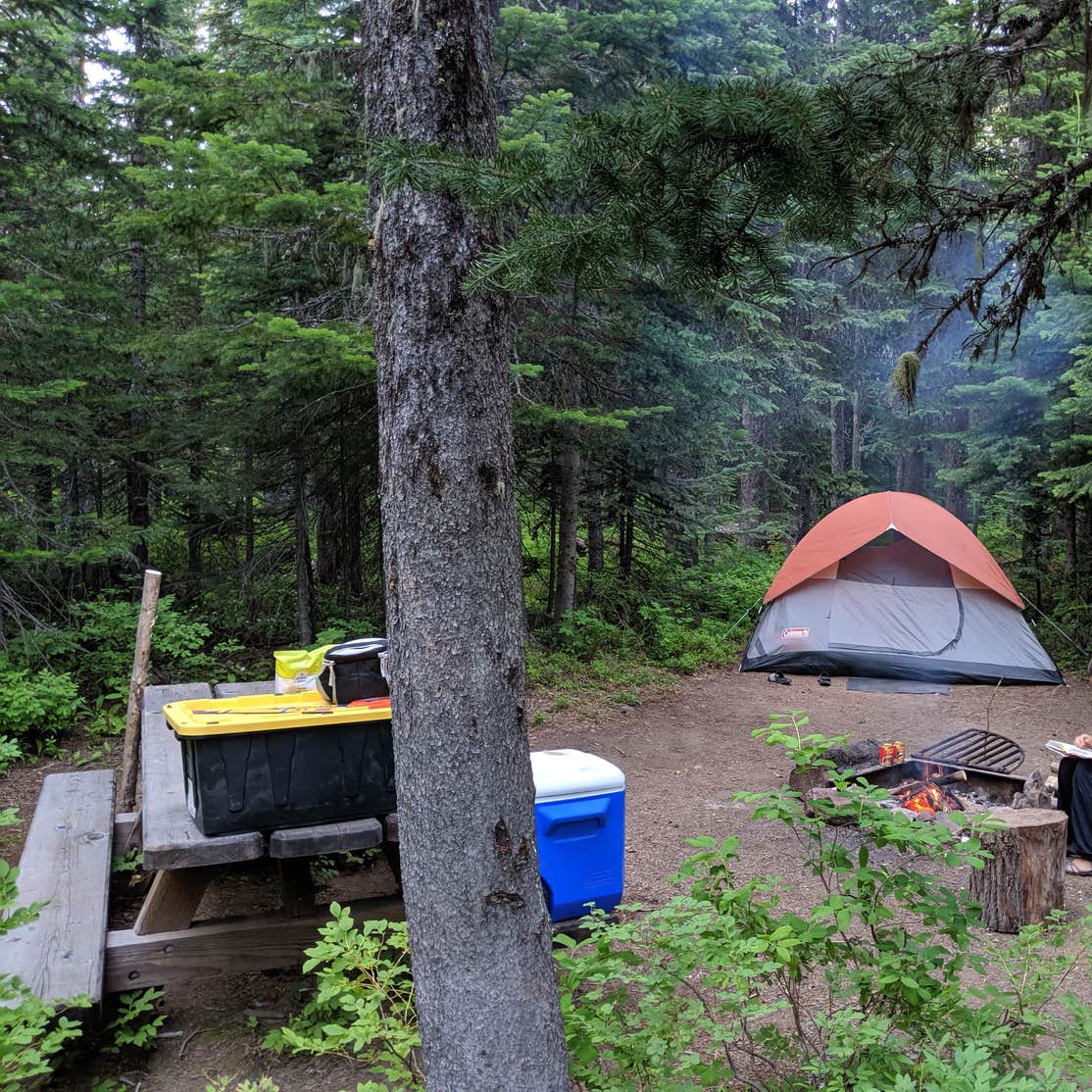 Target Meadows Campground — Umatilla National Forest | Weston, OR