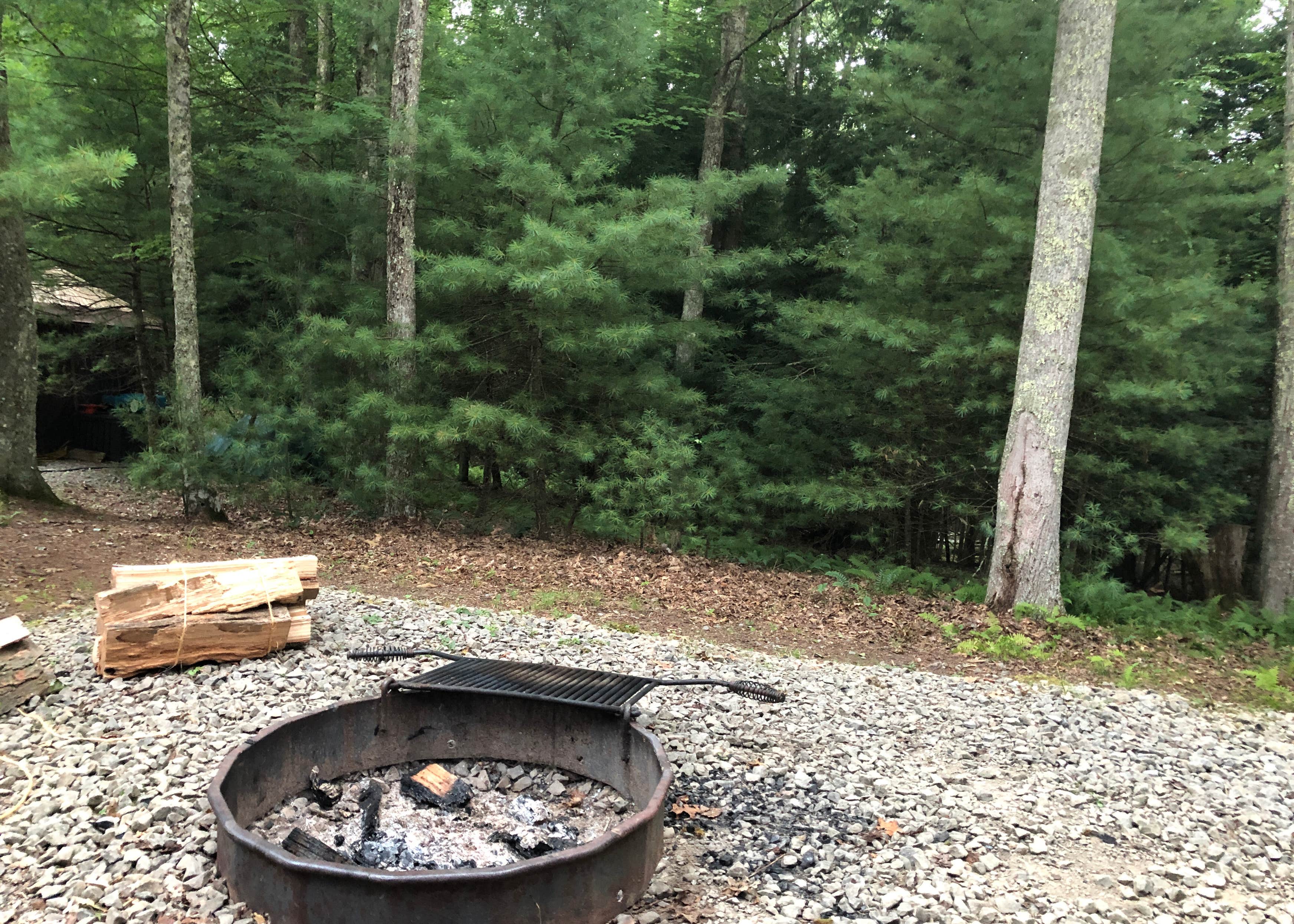 Little Beaver State Park Camping | The Dyrt