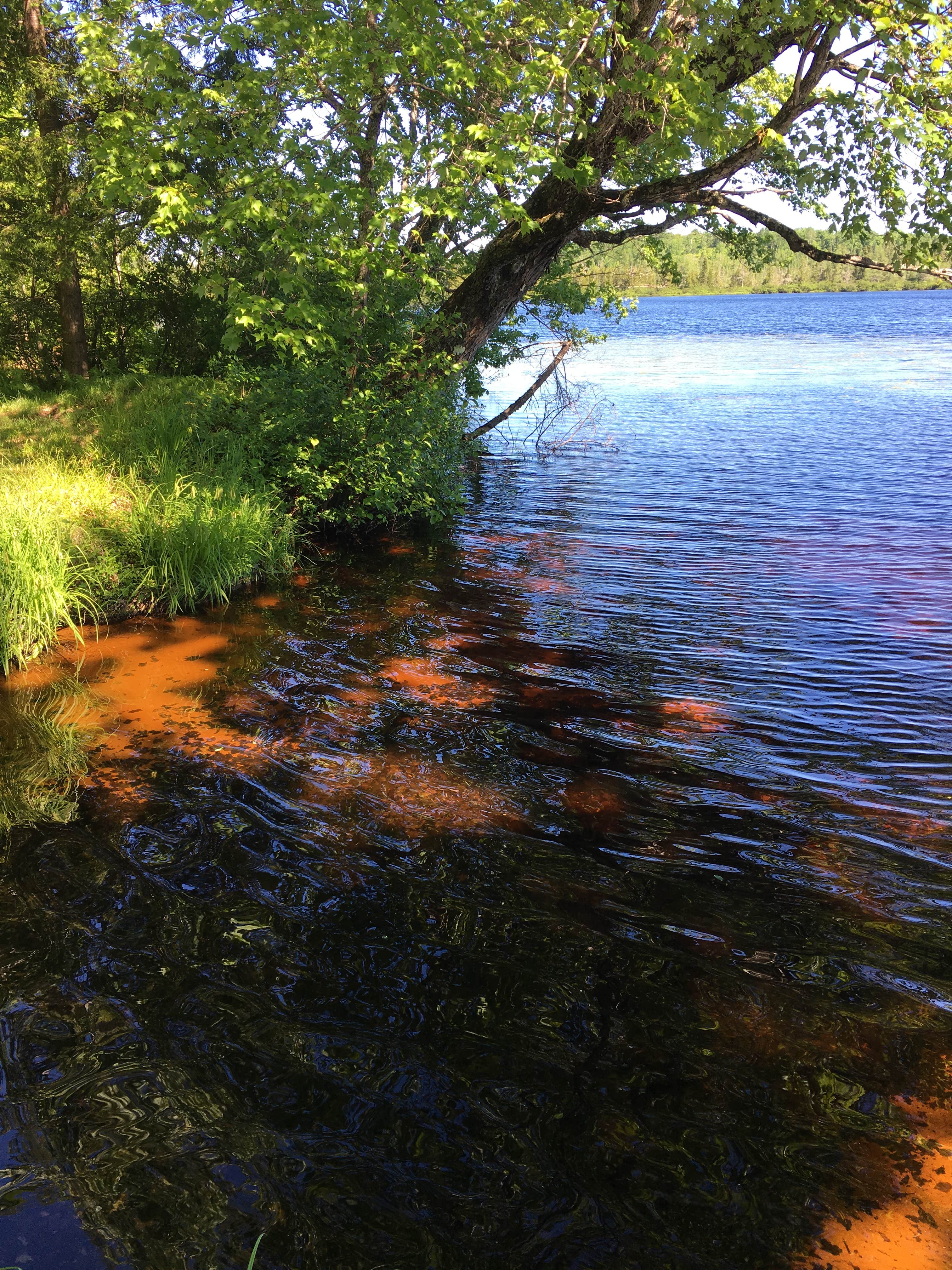 Bob Lake Campground | Mass City, MI