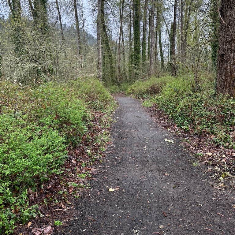 Gills Landing RV Park | Lebanon, Oregon