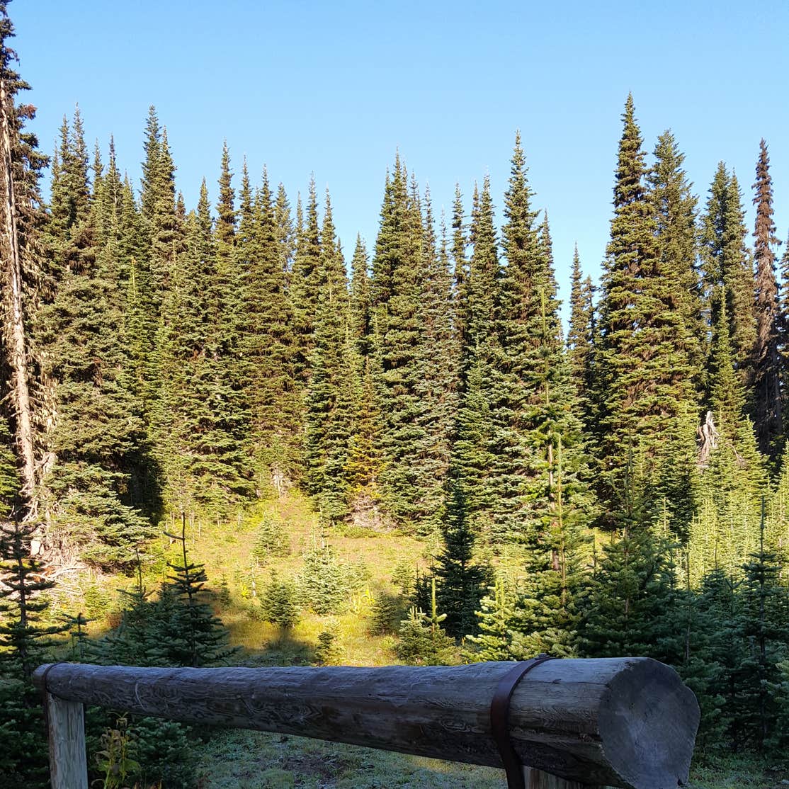 Corral Pass Campground Camping | The Dyrt