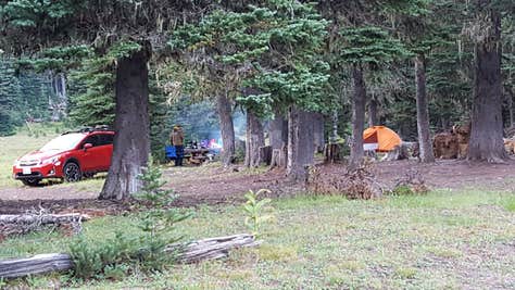 Corral Pass Campground Camping | The Dyrt