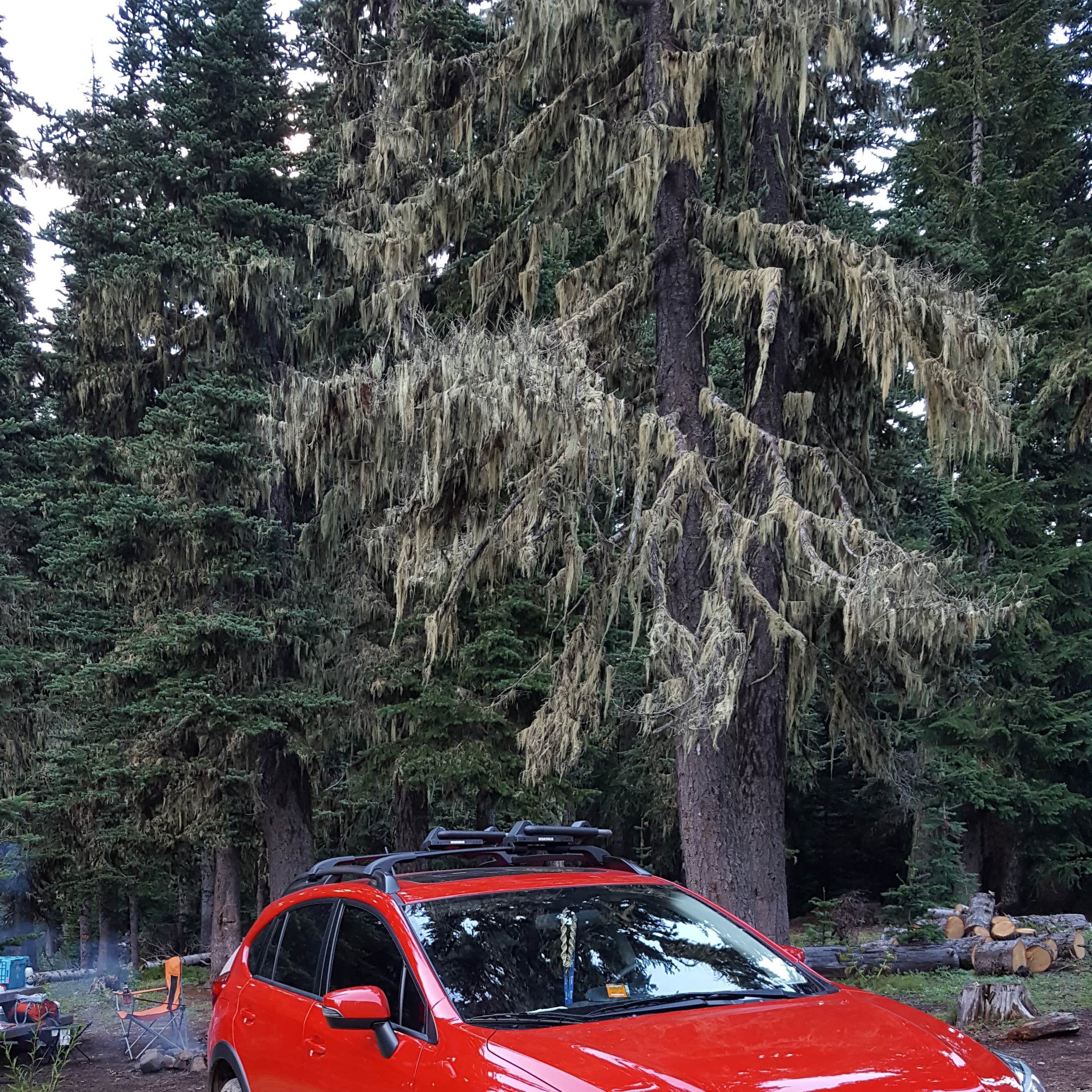 Corral Pass Campground Camping | The Dyrt