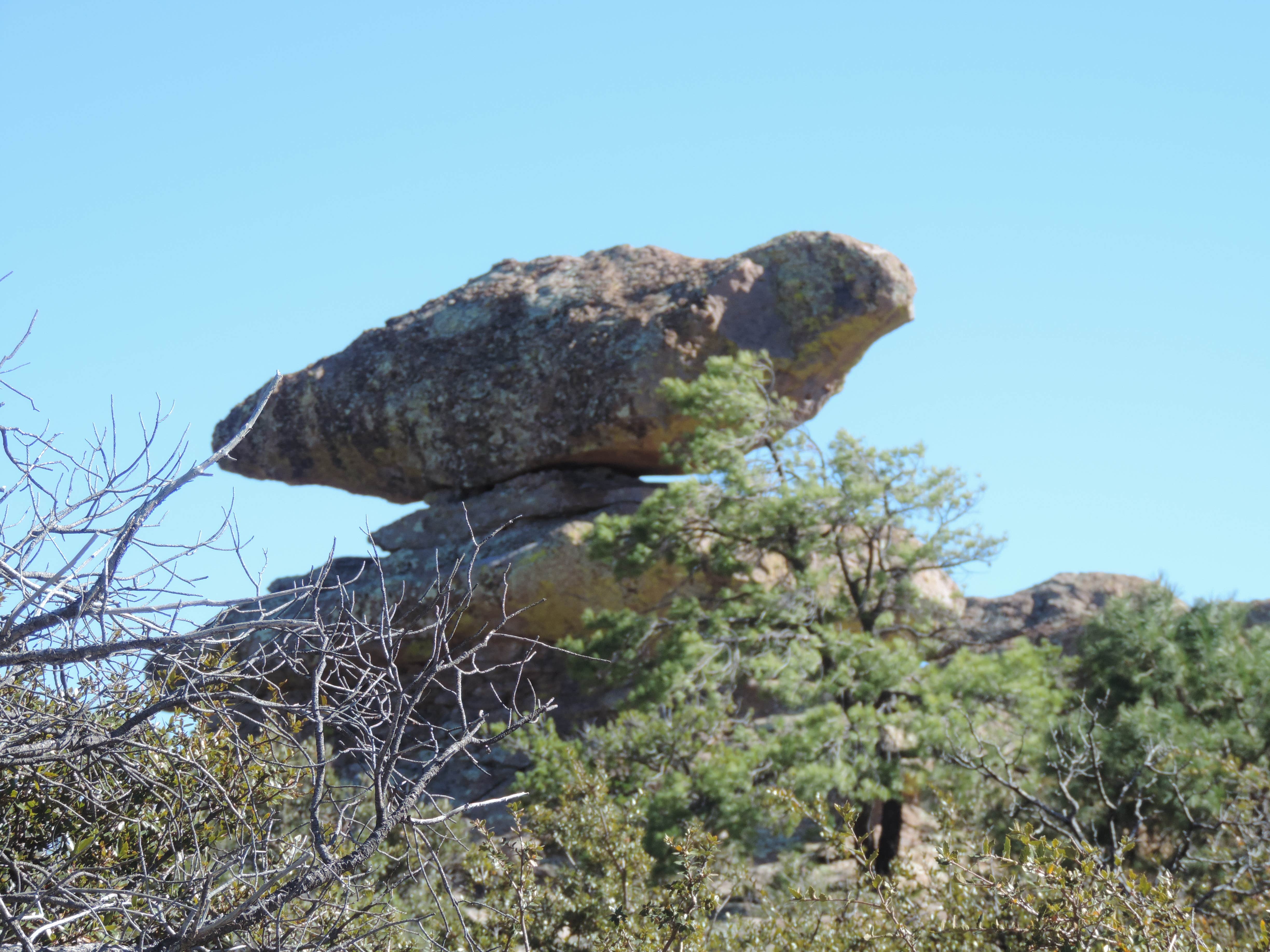 Bonita Canyon Campground — Chiricahua National Monument | Willcox, AZ