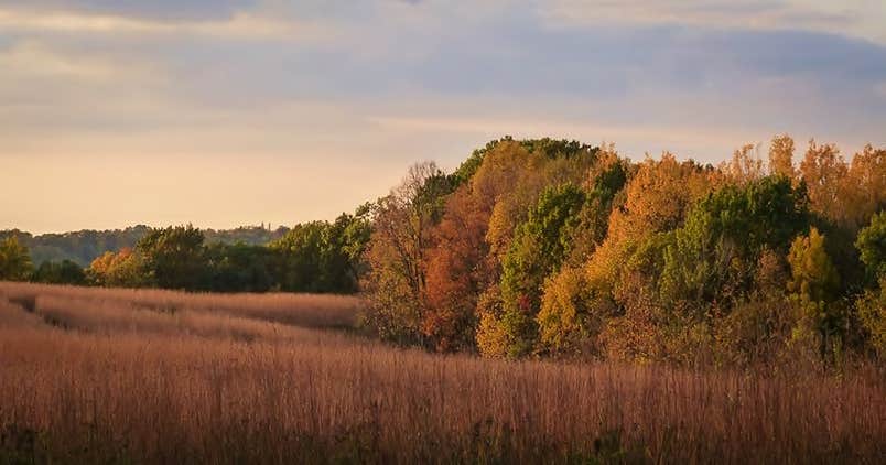 Prairie View Camping | Pepin, Wisconsin