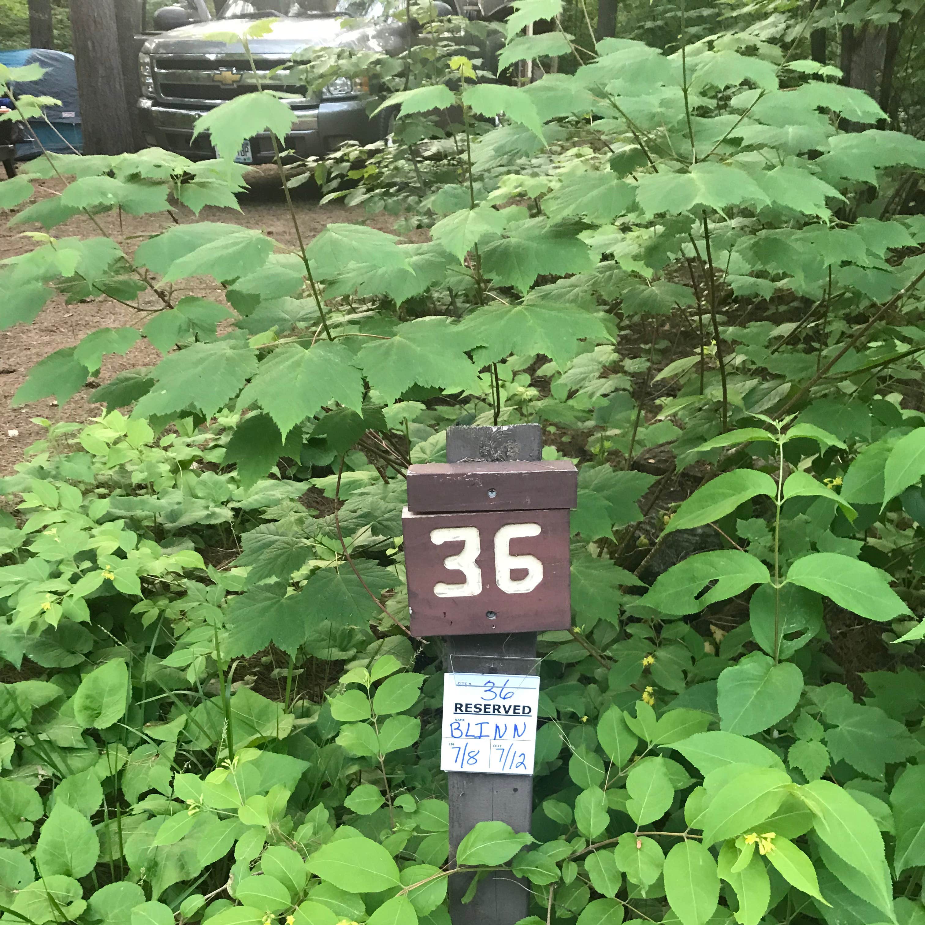 Sawbill Lake Campground - Superior National Forest | Lutsen, Minnesota
