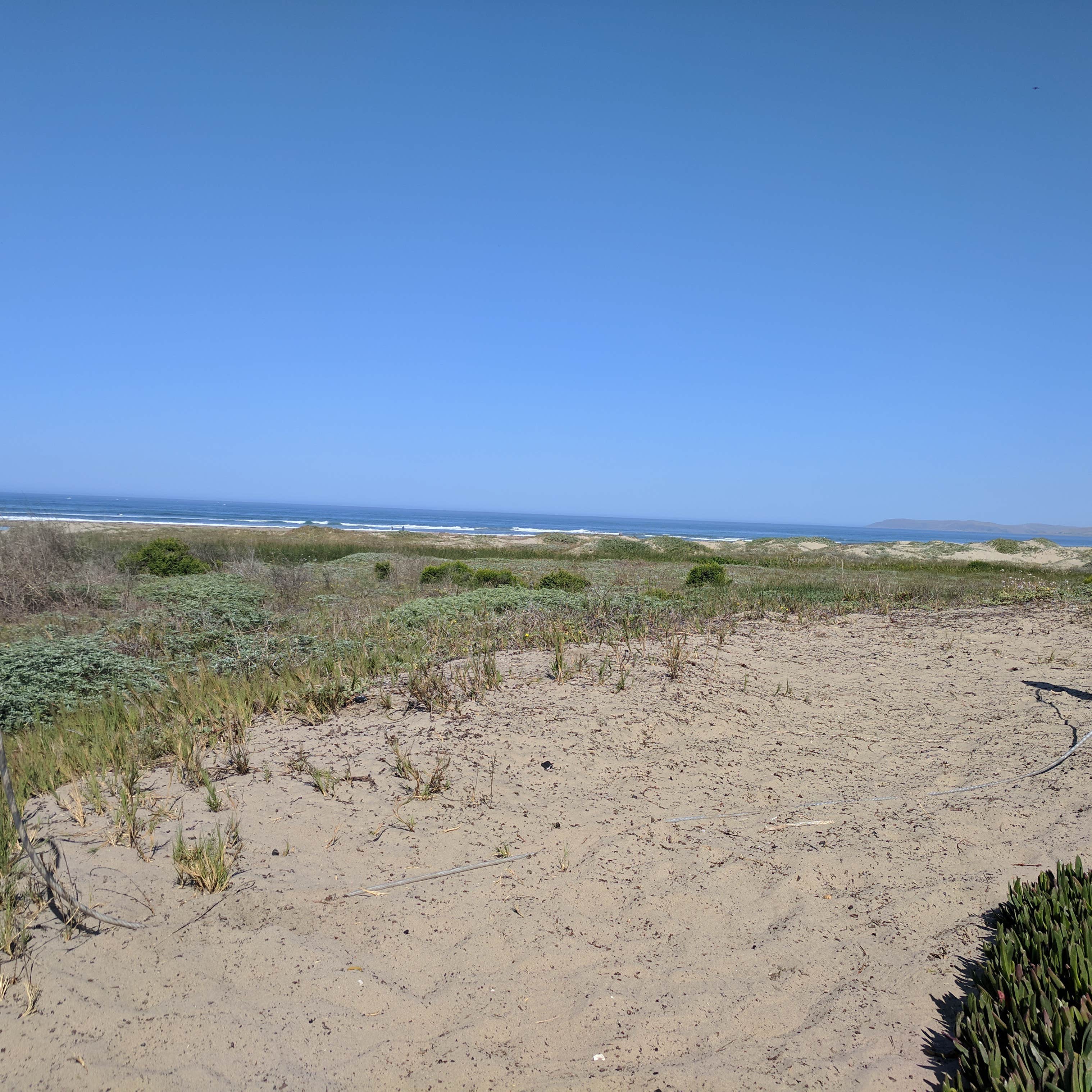 Morro Strand Sb Camping | The Dyrt