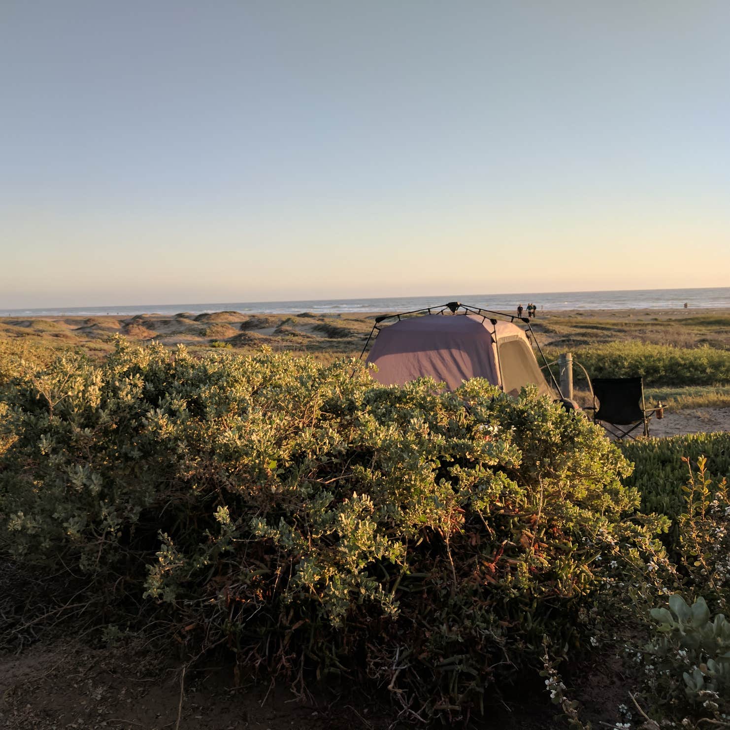 Morro Strand Sb Camping | The Dyrt