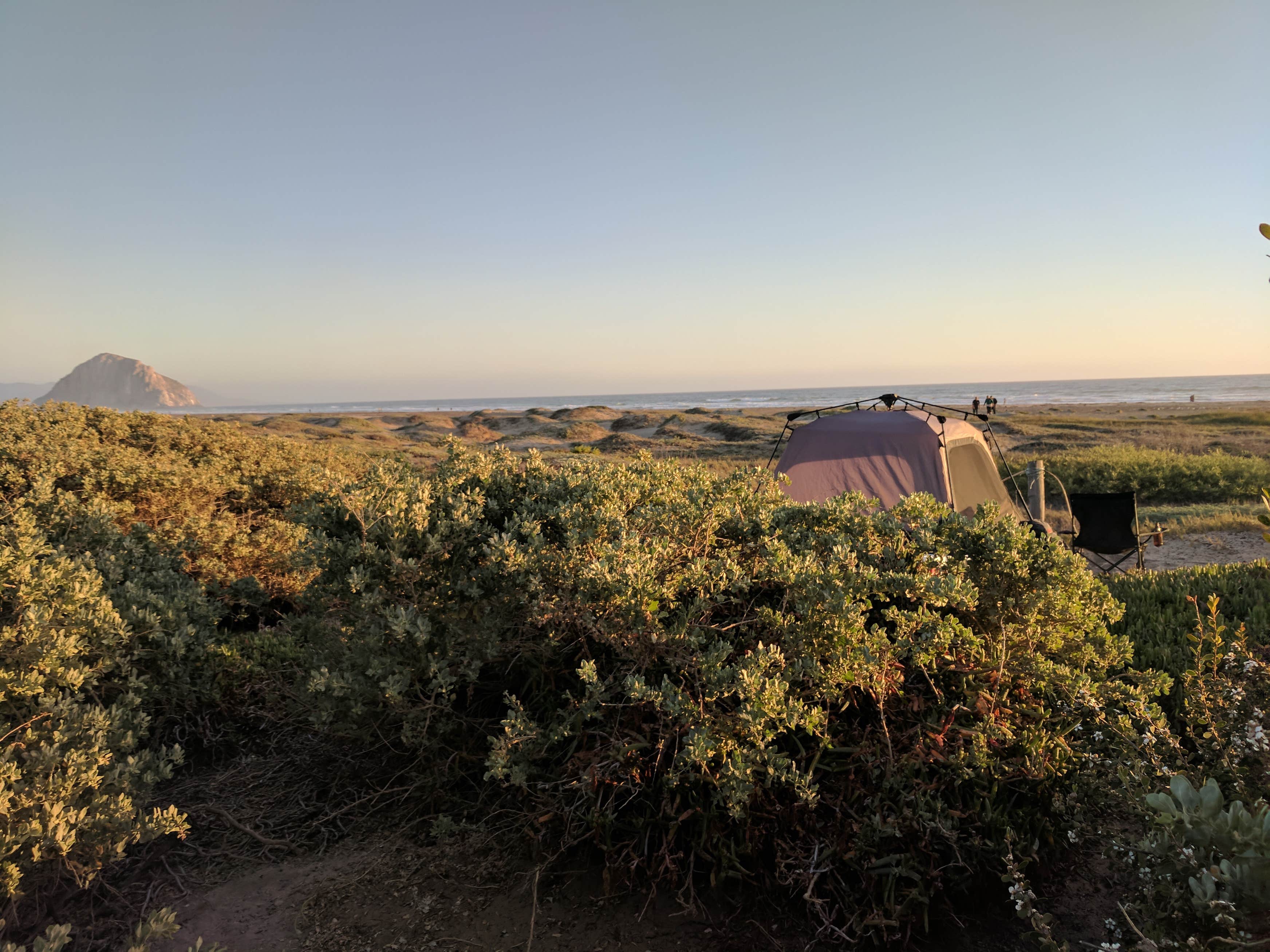 Morro Strand Sb Camping | The Dyrt