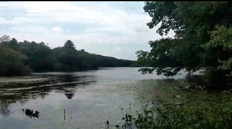 Hopeville Pond State Park Campground | Griswold, CT