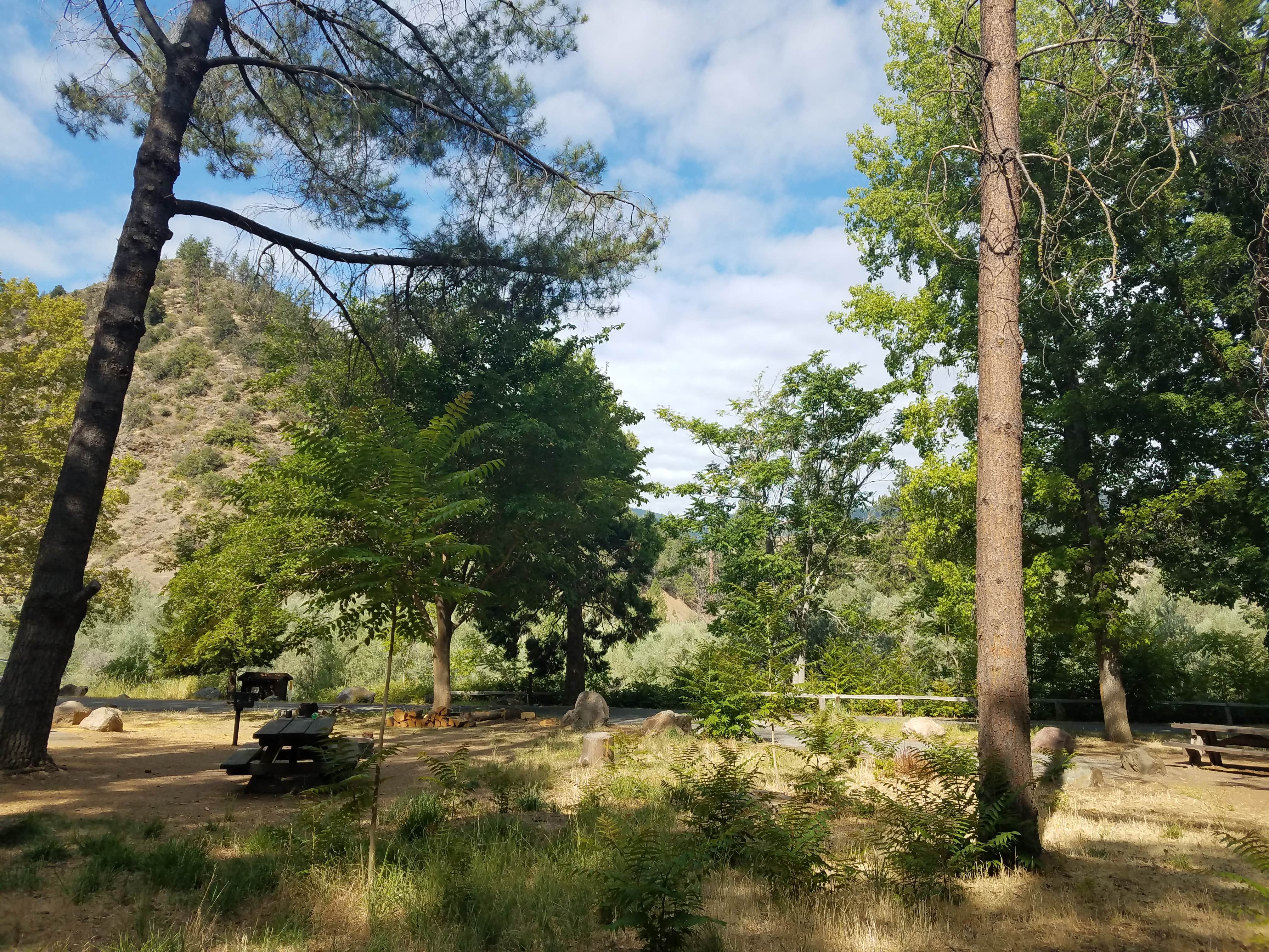 Tree of Heaven Campground | The Dyrt