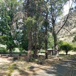 Tree Of Heaven Campground Camping | The Dyrt