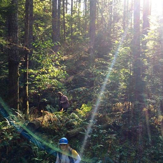 Upper Duckabush — Olympic National Park Camping | Olympic National ...