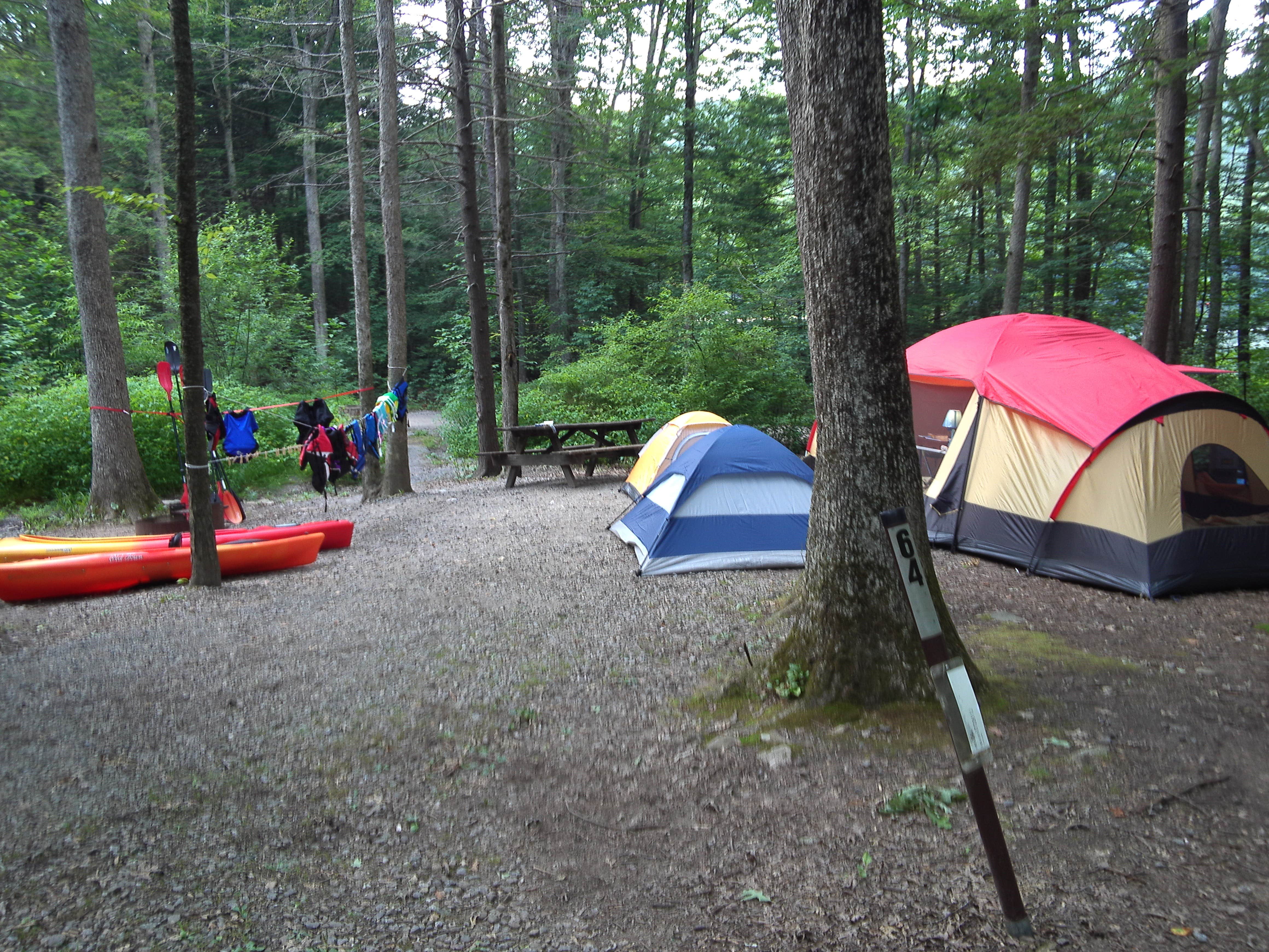 Locust Lake State Park Campground | Mahanoy City, Pennsylvania