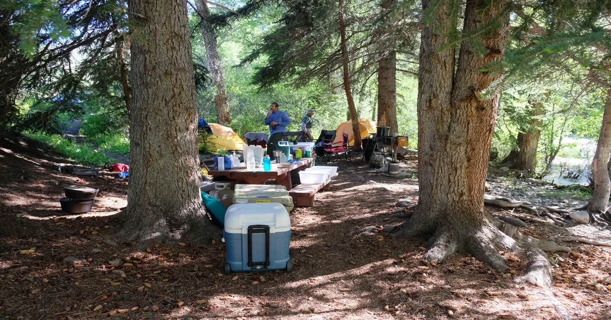 Pickaroon Campground | Medicine Bow-Routt National Forests and Thunder ...