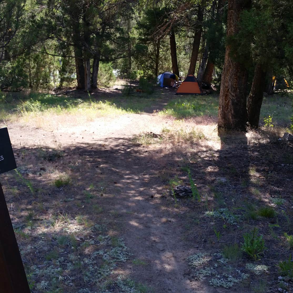 1Y9 Backcountry Campsite — Yellowstone National Park | Gardiner, Montana