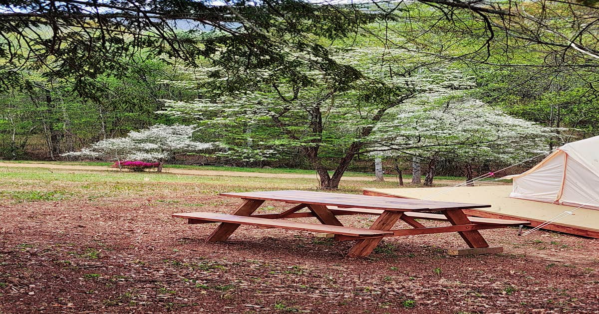 Covenant View Camp and Retreat | Lookout Mountain, Georgia