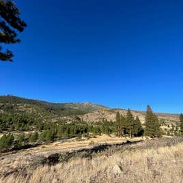 Gold Ranch Casino & RV Resort | Verdi, Nevada