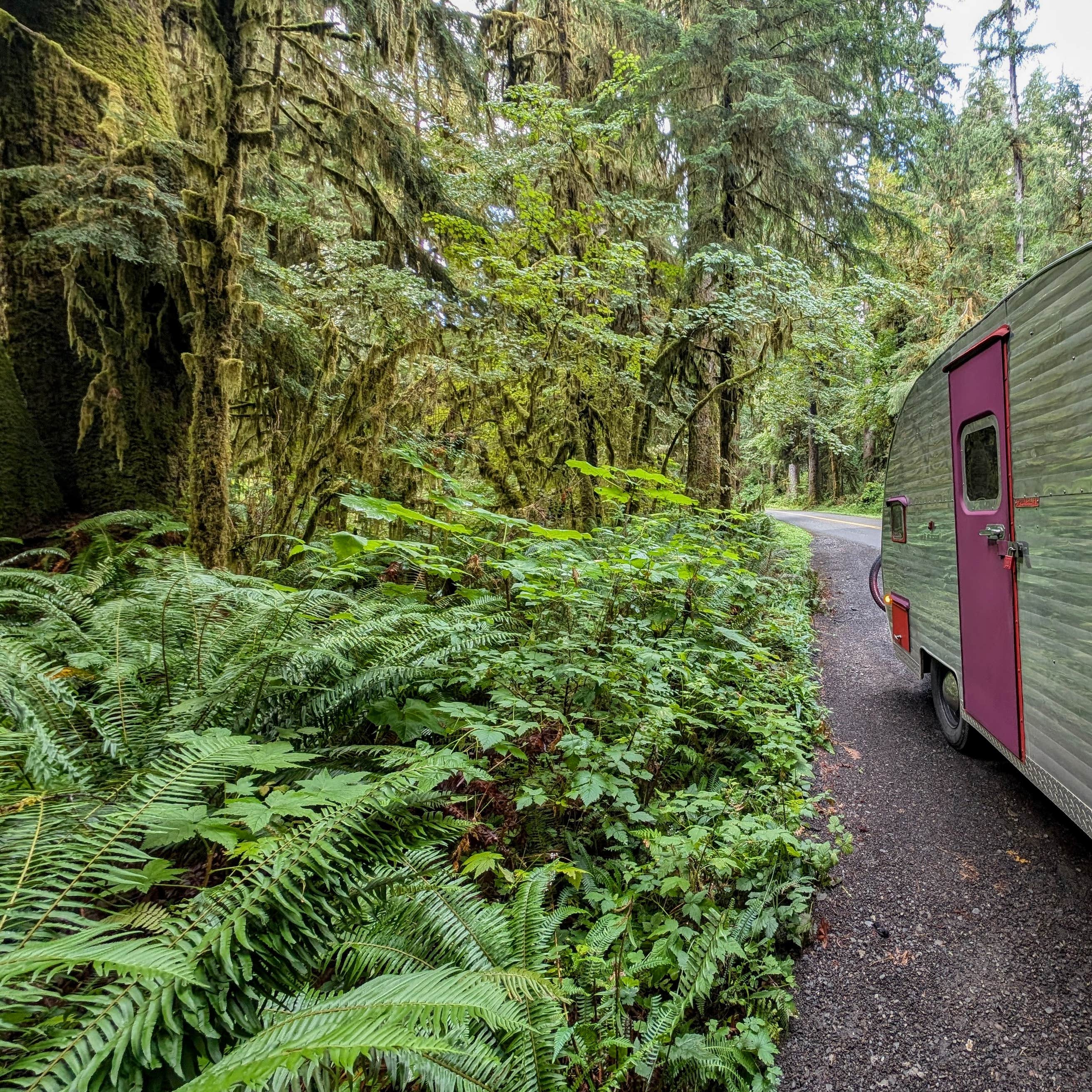 Hoh Campground — Olympic National Park | Sol Duc Hot Springs, Washington