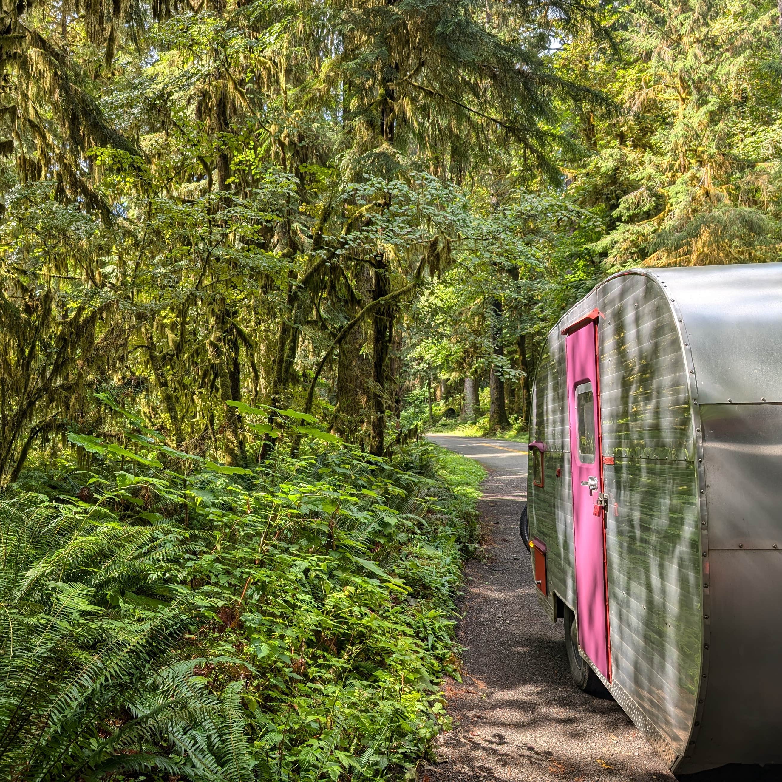Hoh Campground — Olympic National Park | Sol Duc Hot Springs, Washington
