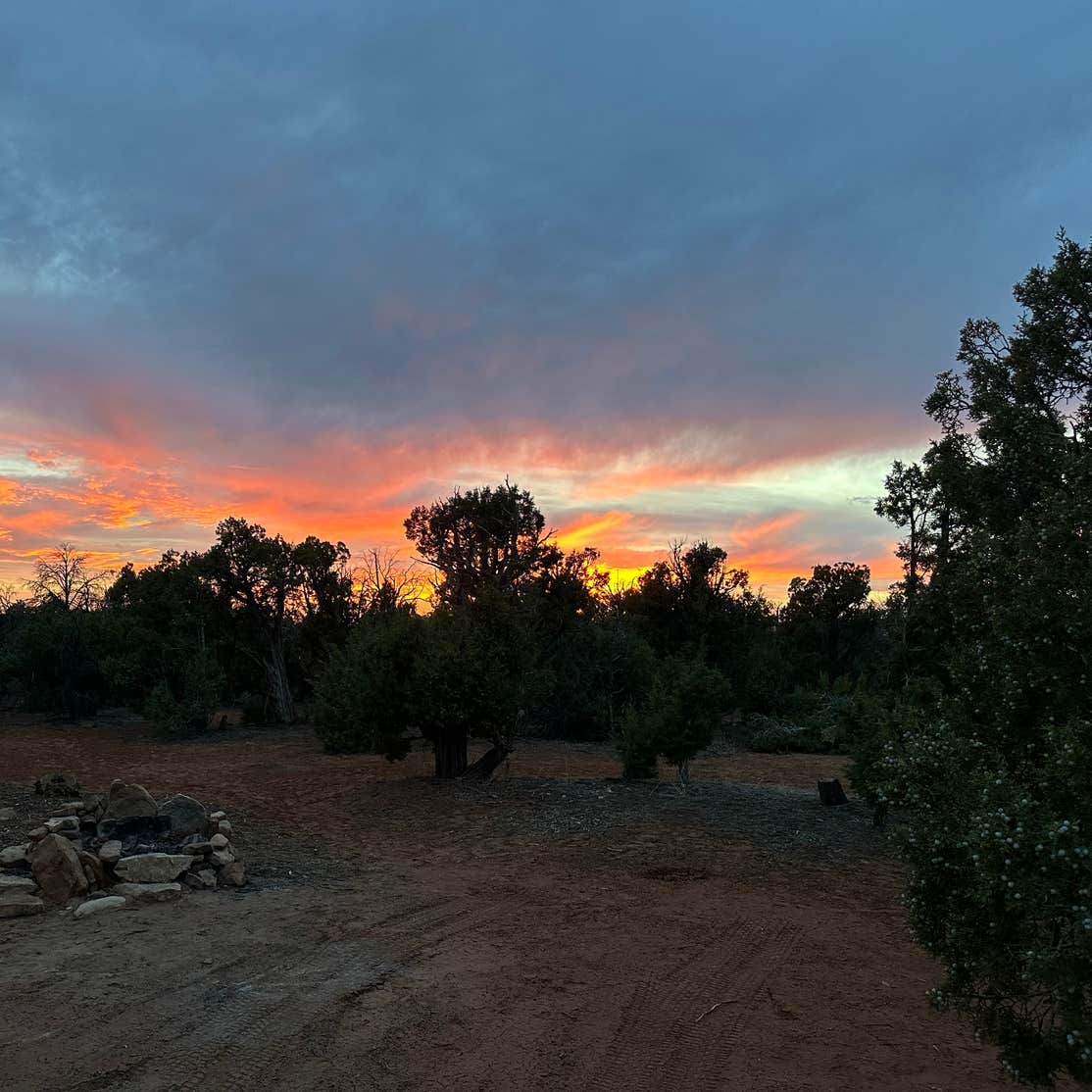 Burch Canyon Road near Natural Bridges National Monument Camping ...